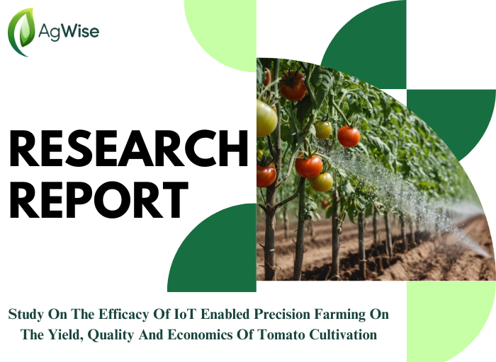 AgWise IoT enabled Smart Farming: Boosting Tomato Productivity